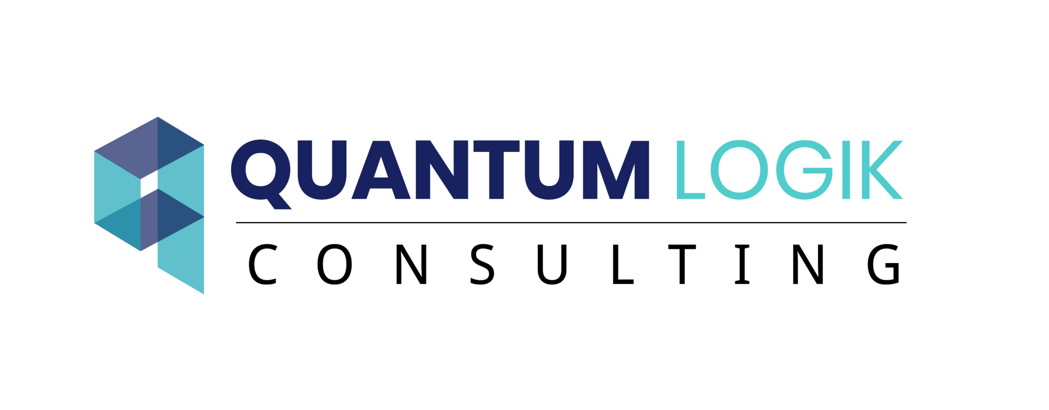 Case Studies - quantumlogik.com